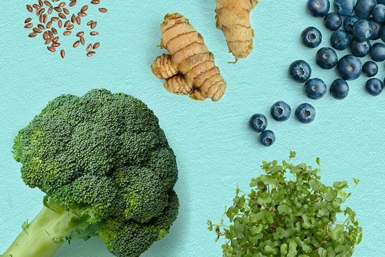 GMO Corn Linked To Cancer Tumors | FOOD MATTERS®