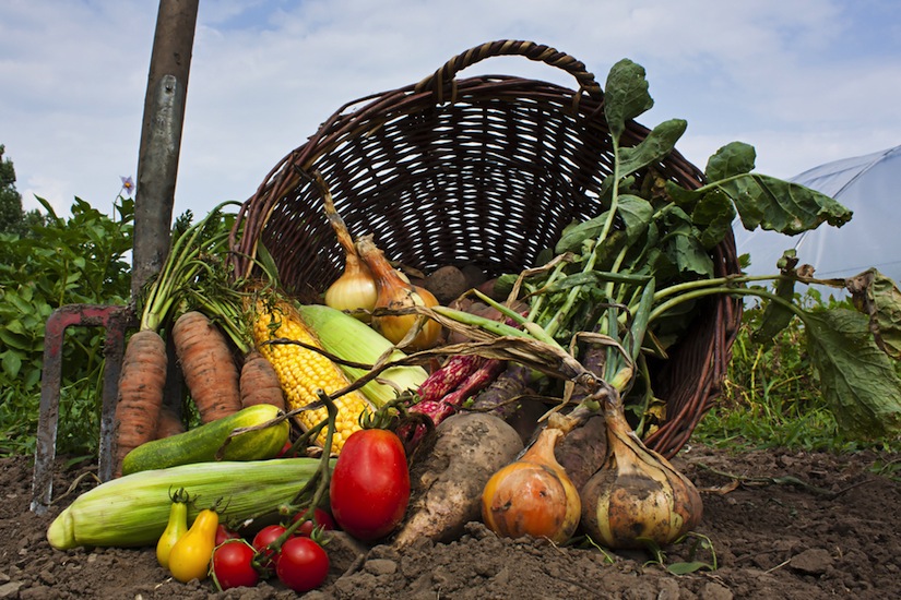 The Real Evidence That Organic Is Best! | FOOD MATTERS®