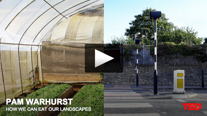 What Should We Do With Unused Land? (Short Video) | FOOD MATTERS®