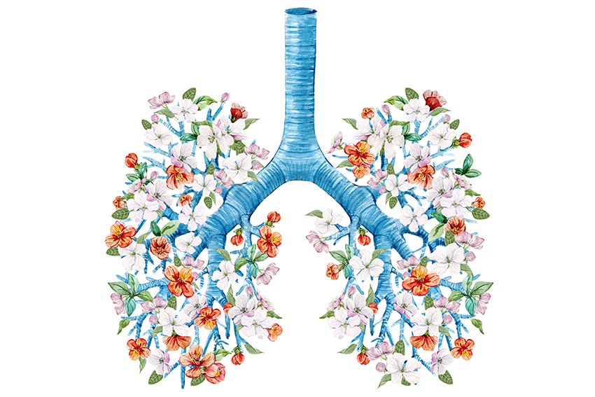 13 Ways To Improve Your Lung Health According To Chinese Medicine ...