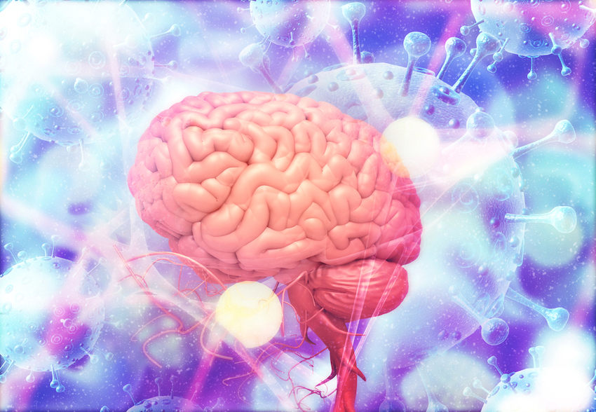 The Amazing Effects Meditation has on the Brain & Immune System | FOOD ...