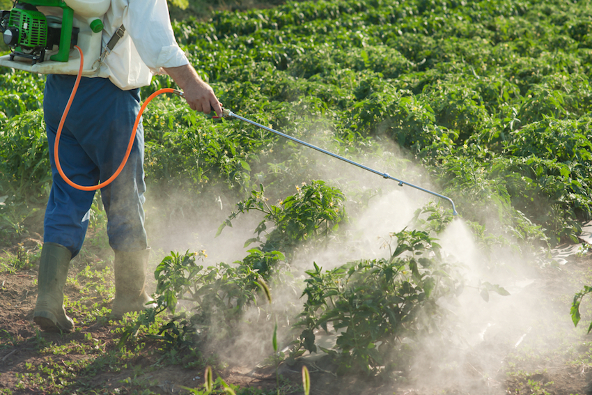 Top Films That Uncover Our Chemical World | FOOD MATTERS®