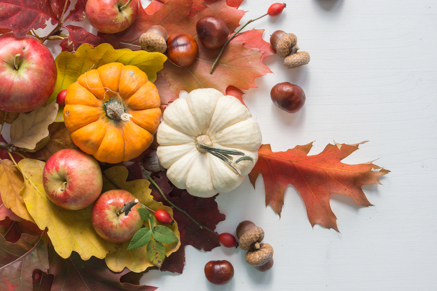 5 Fall Foods And The Reason To Love Them | FOOD MATTERS®