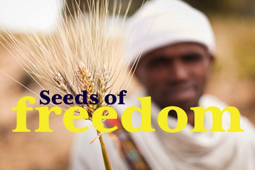 Seeds of Freedom (June Film Club) | FOOD MATTERS®