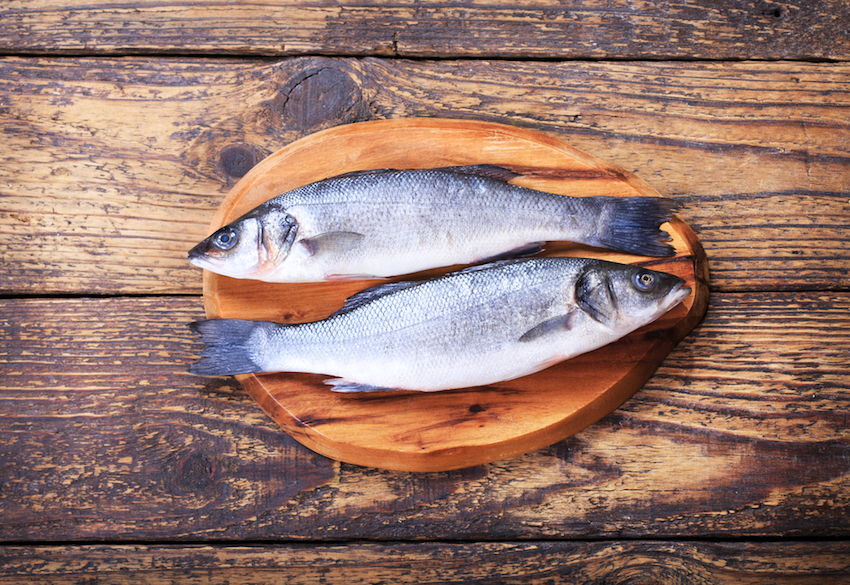 The Most Toxic Fish That You Should Avoid | FOOD MATTERS®